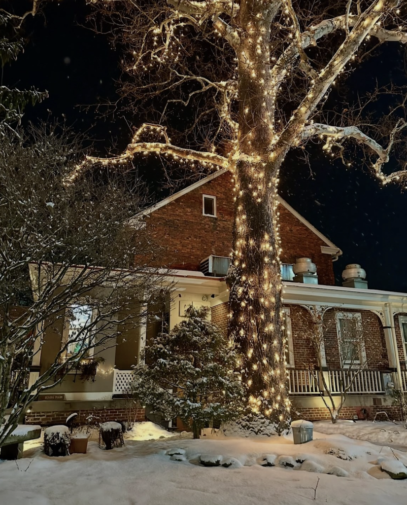 All hearts and flowers: The Back Porch celebrating 50 years on ...